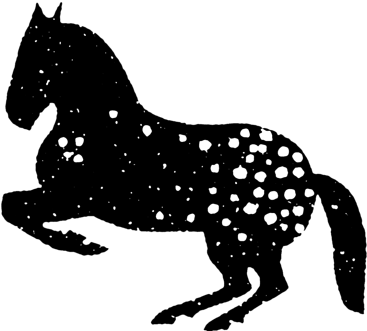 Hippomorpha – Hippomorpha – Dr. Sandra Engels